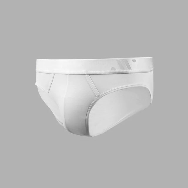 Most Comfortable Frost White Briefs for Men Modern Fit | ALPHX.com