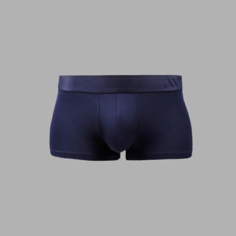Most Comfortable Maritime Navy Blue Trunks for Men Athletic Fit | ALPHX.com